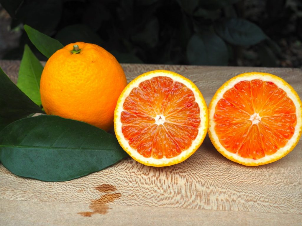 Orange Moro - AGRUMERIE VESSIERE